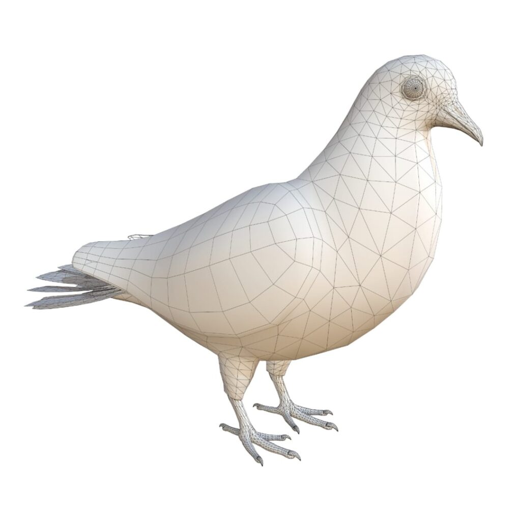 Bird Collection 3D Model Rigged and Low Poly Game ready