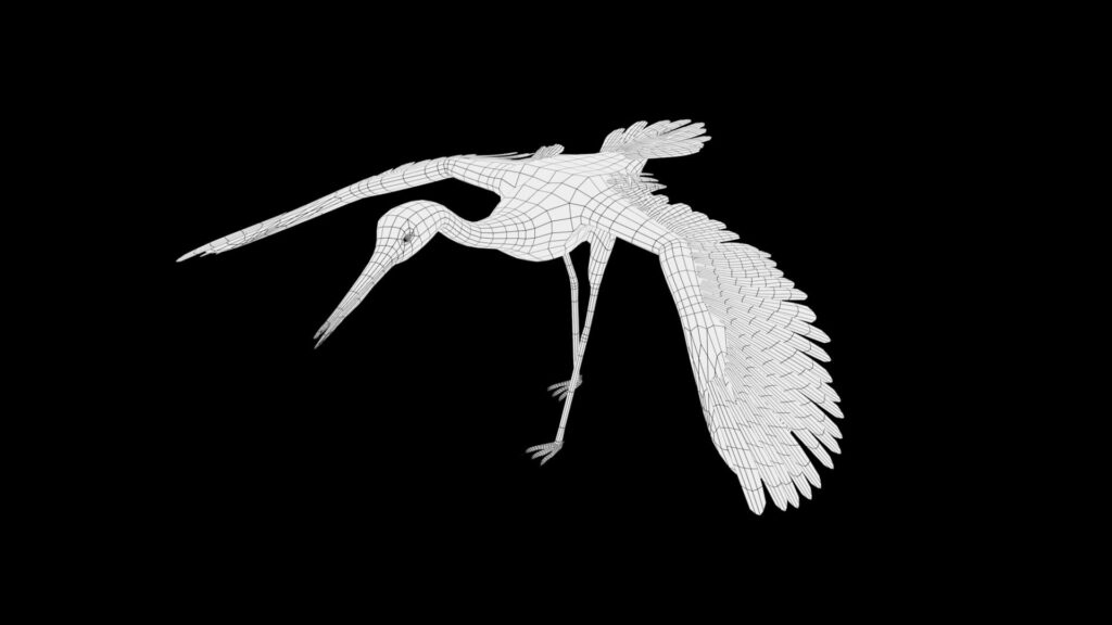 Bird Collection 3D Model Rigged and Low Poly Game ready