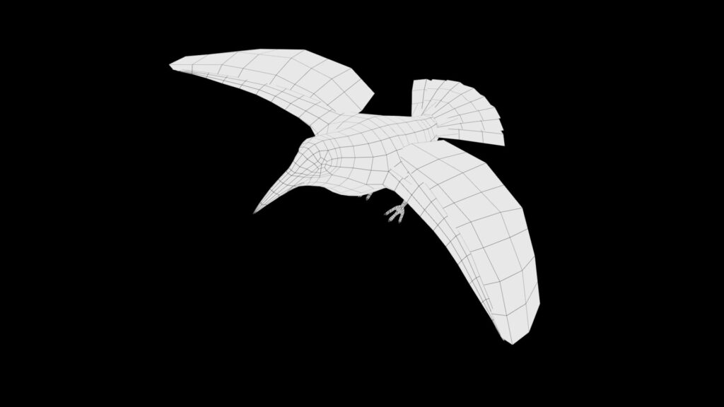 Bird Collection 3D Model Rigged and Low Poly Game ready