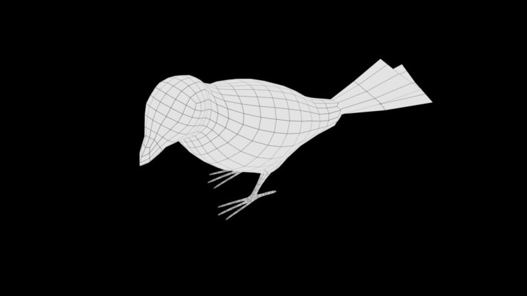 Bird Collection 3D Model Rigged and Low Poly Game ready