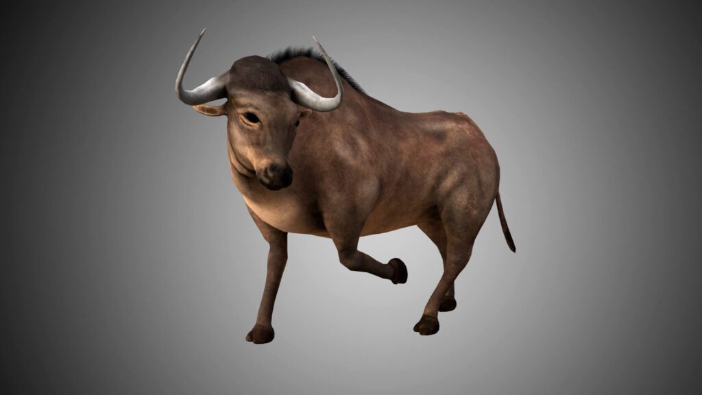Bull 3D Model Rigged and Low Poly Game ready - Team 3d Yard
