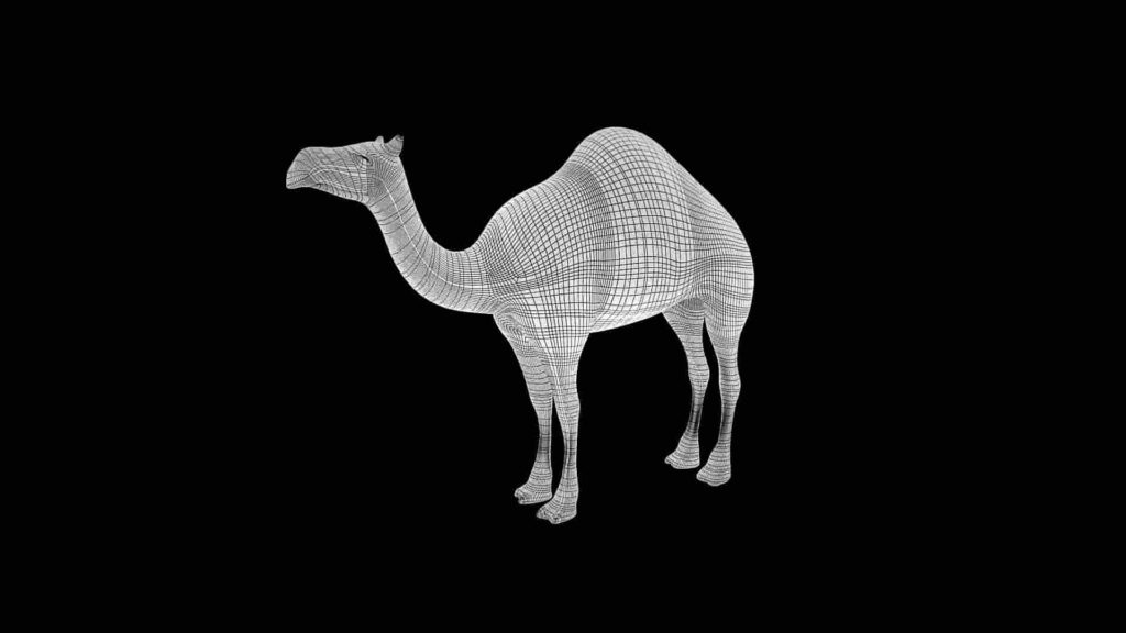 Camel 3d Model Rigged and Low Poly Game ready - Team 3d Yard