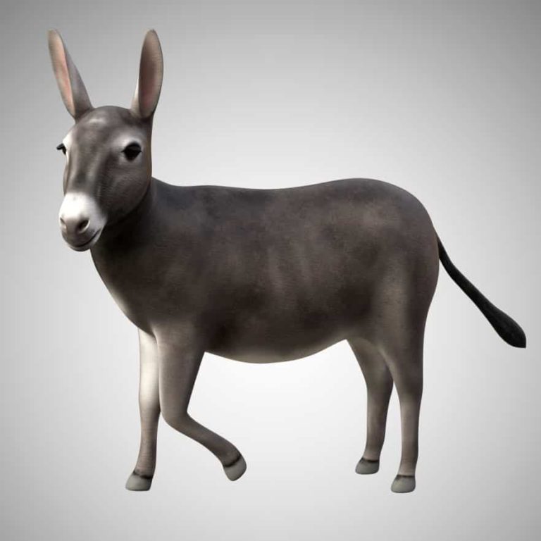 Donkey 3D Model Rigged and Low Poly Game ready - Team 3d Yard