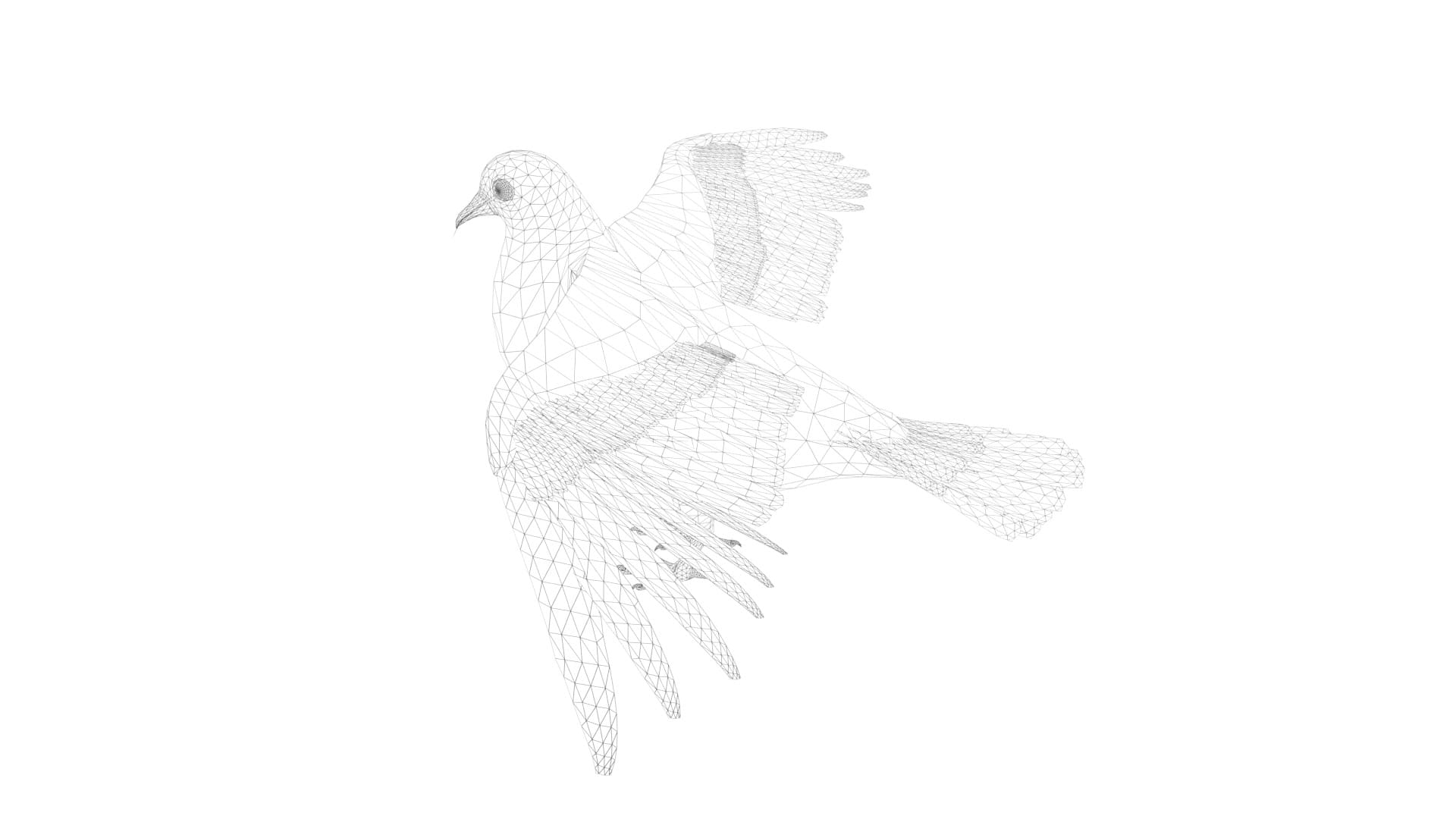 Dove 3D Model Rigged and Low Poly Game ready - Team 3d Yard