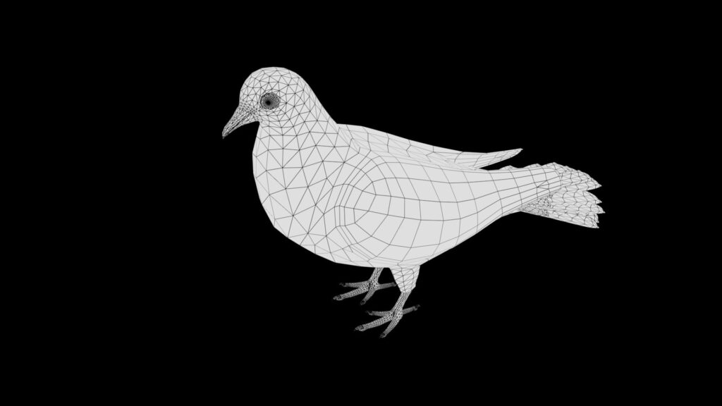 Dove Bird 3D Model Rigged and Low Poly Game ready - Team 3d Yard