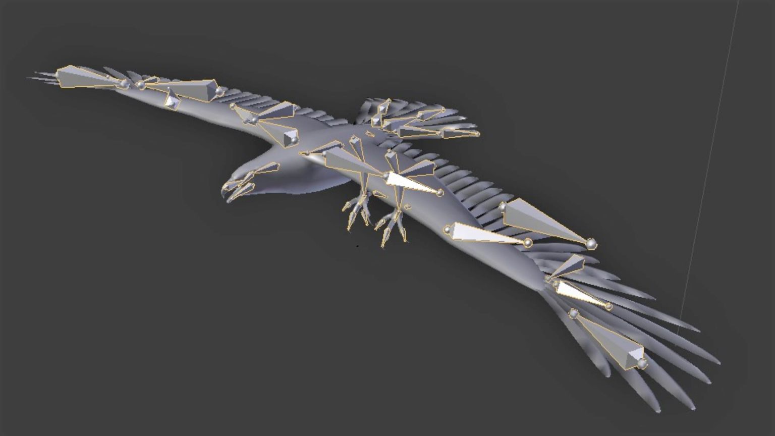 Falcon 3D Model Rigged and Low Poly Game ready - Team 3d Yard