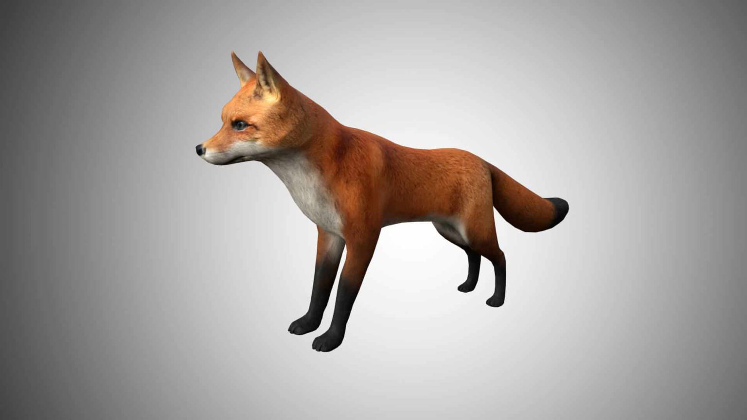 Fox 3D Model Game Ready Game ready - Team 3d Yard