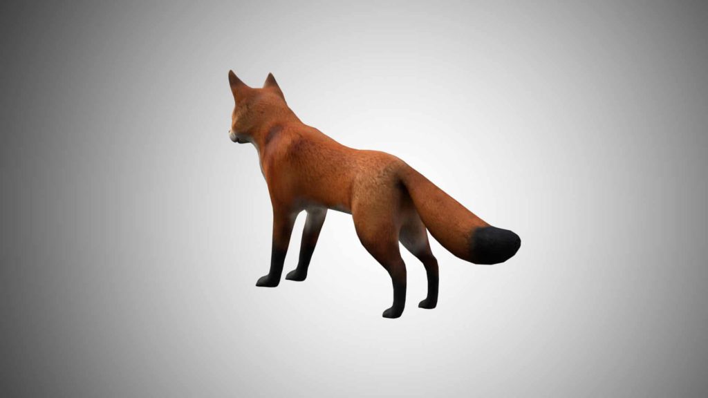 Fox 3D Model Game Ready Game ready - Team 3d Yard
