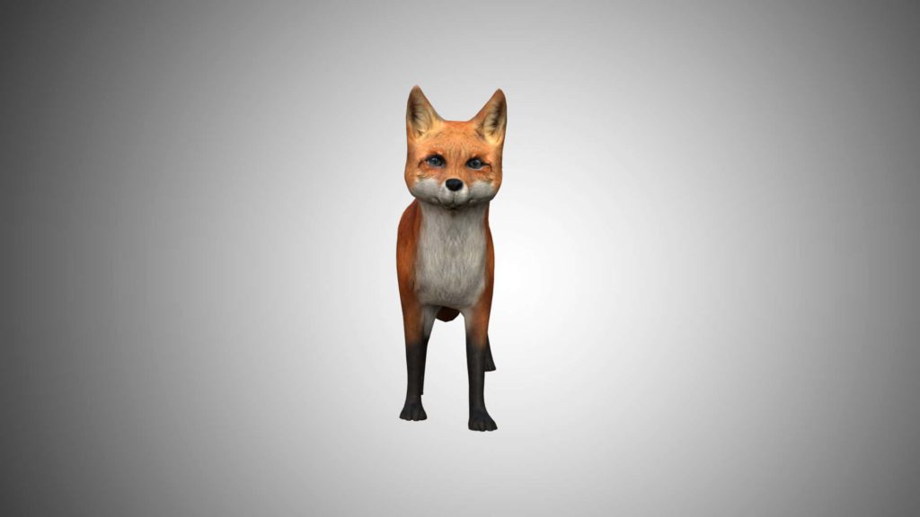 Fox 3D Model Game Ready Game ready - Team 3d Yard