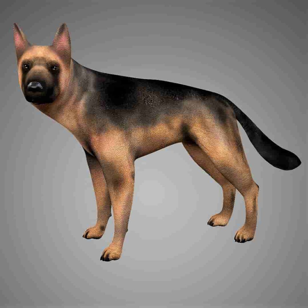 German Shepherd 3D Model Rigged Low Poly Game ready