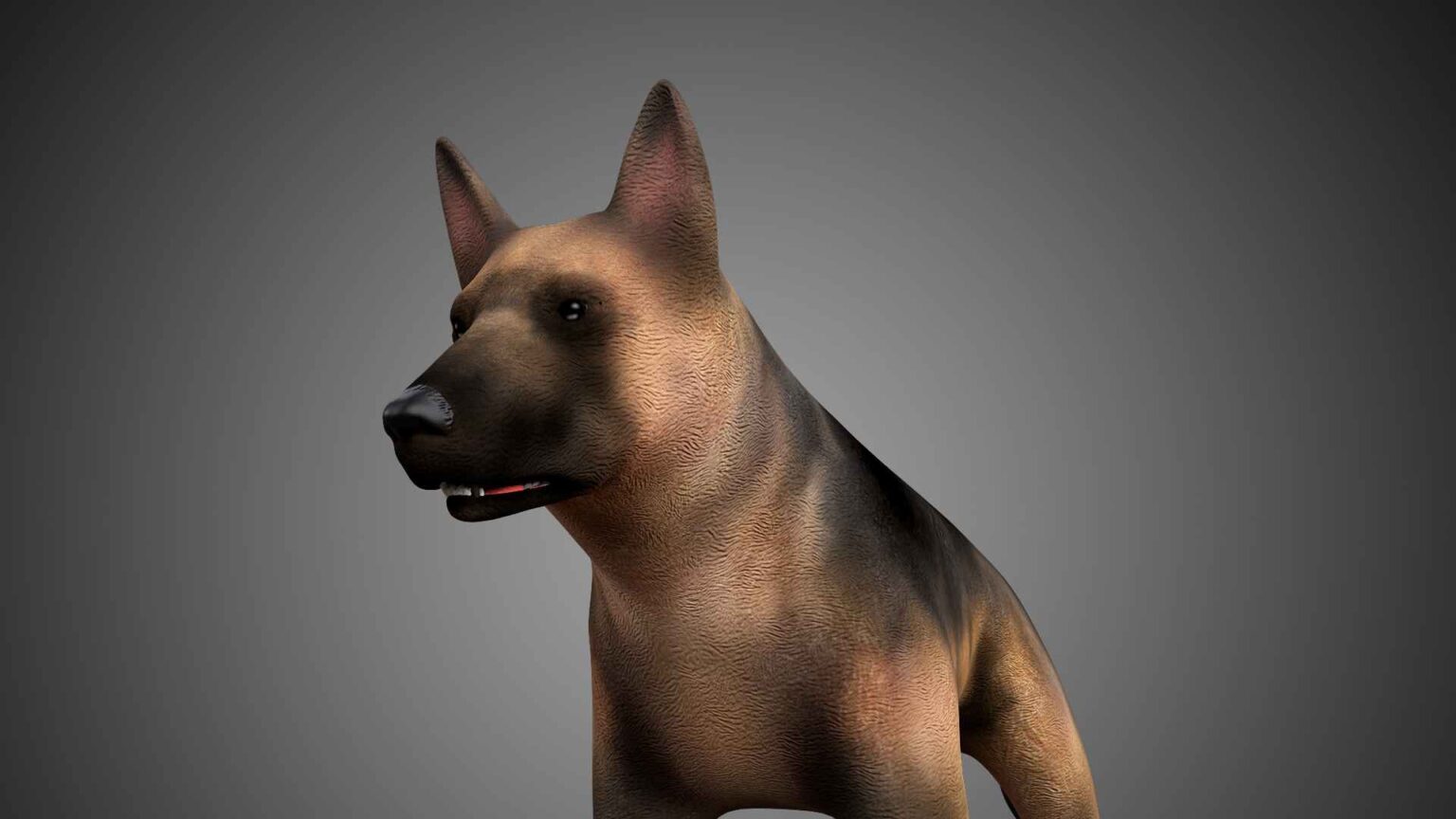 German Shepherd 3D Model Rigged Low Poly Game ready