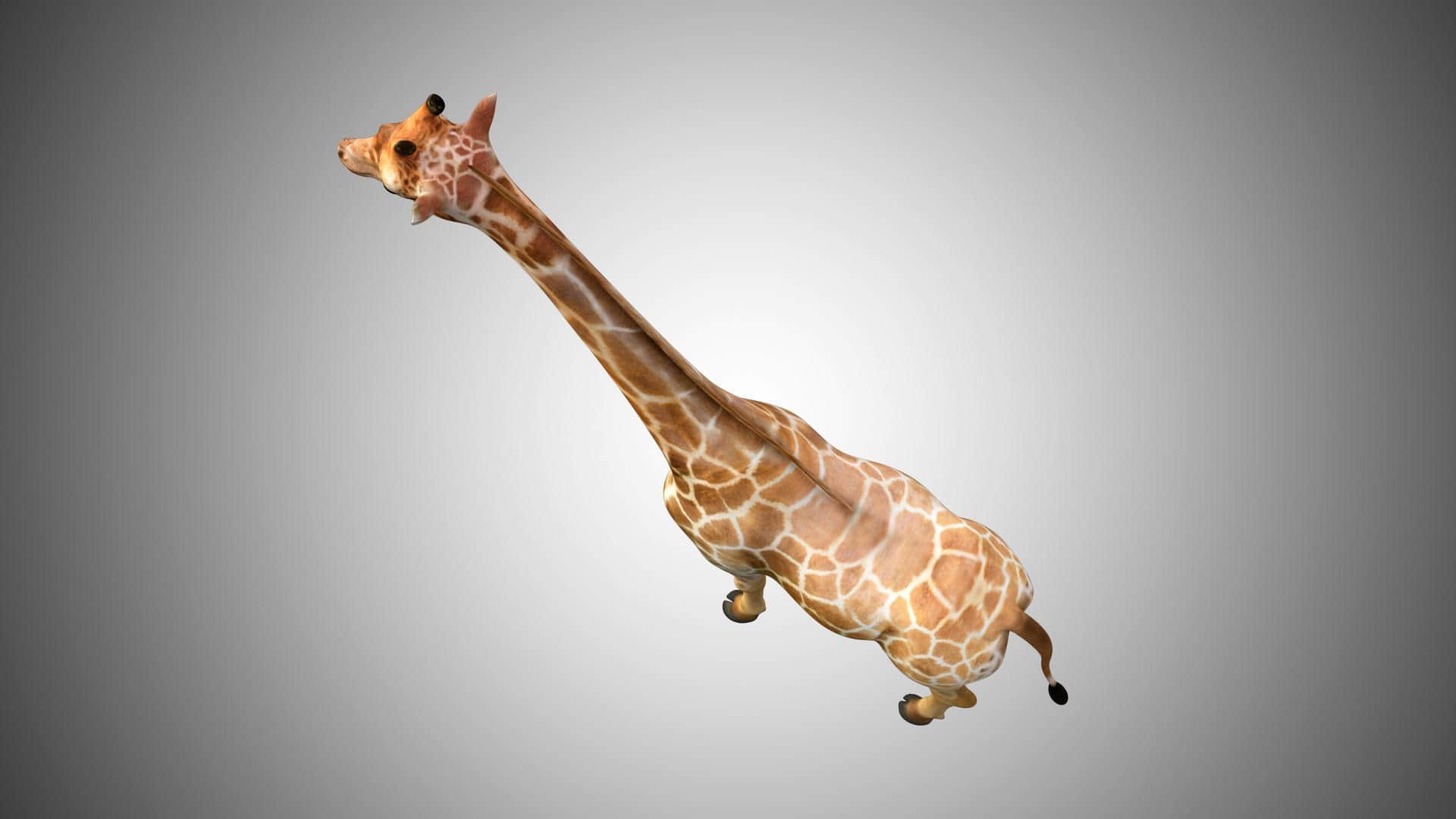 Giraffe 3d Model Rigged and Low Poly Game ready - Team 3d Yard