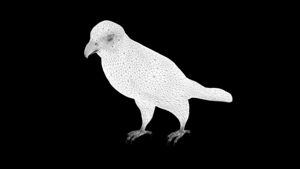 Hawk 3D Model Rigged and Low Poly Game ready - Team 3d Yard