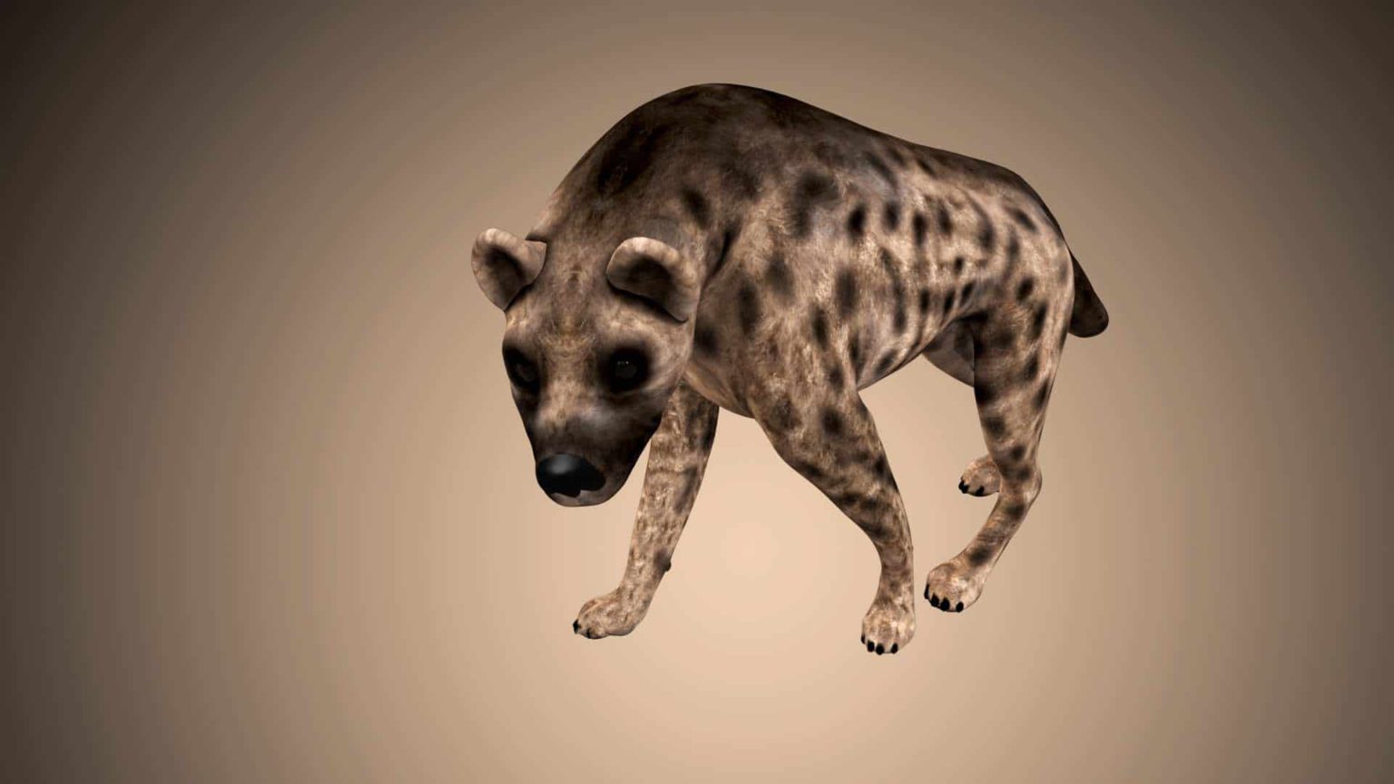 Hyena 3D Model Rigged and Low Poly Game ready - Team 3d Yard
