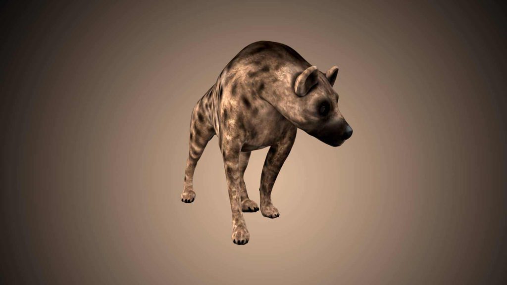 Hyena 3D Model Rigged and Low Poly Game ready - Team 3d Yard