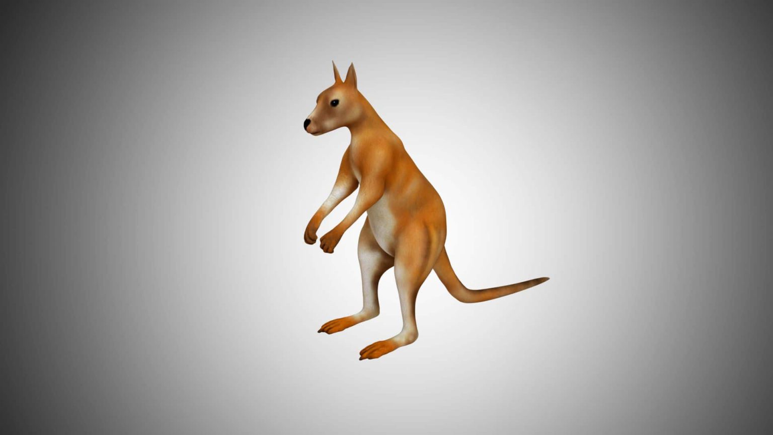Kangaroo 3d Model Rigged and Low Poly Game ready - Team 3d Yard