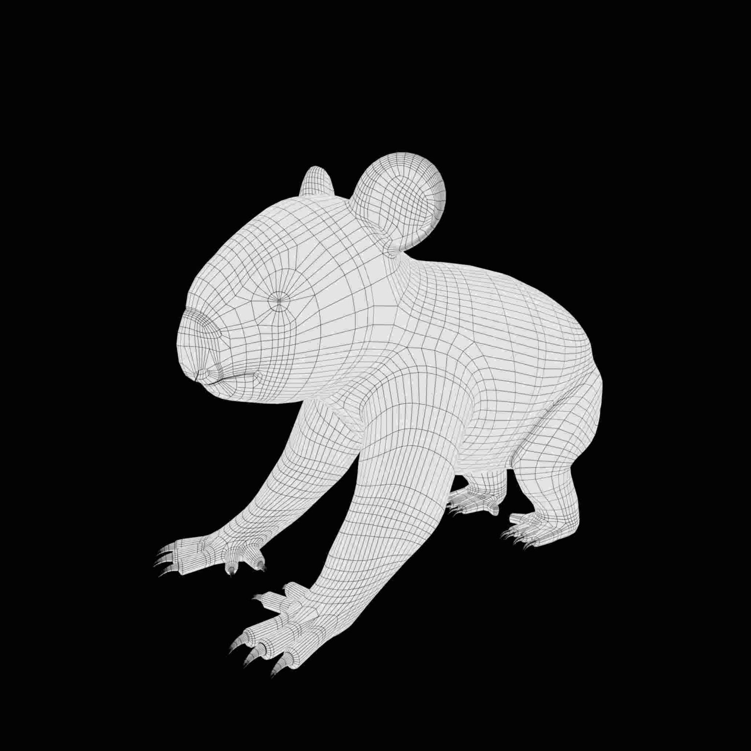 Koala 3D Model Rigged and Low Poly Game ready - Team 3d Yard