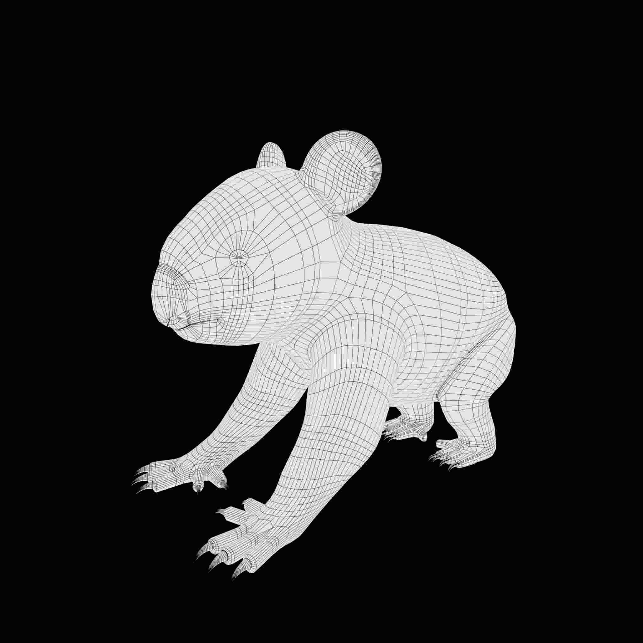 Koala 3D Model Rigged and Low Poly Game ready - Team 3d Yard