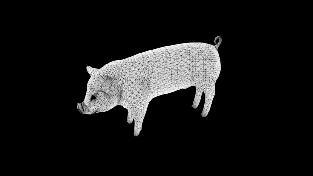 Pig 3D Model Rigged and Low Poly Game ready - Team 3d Yard