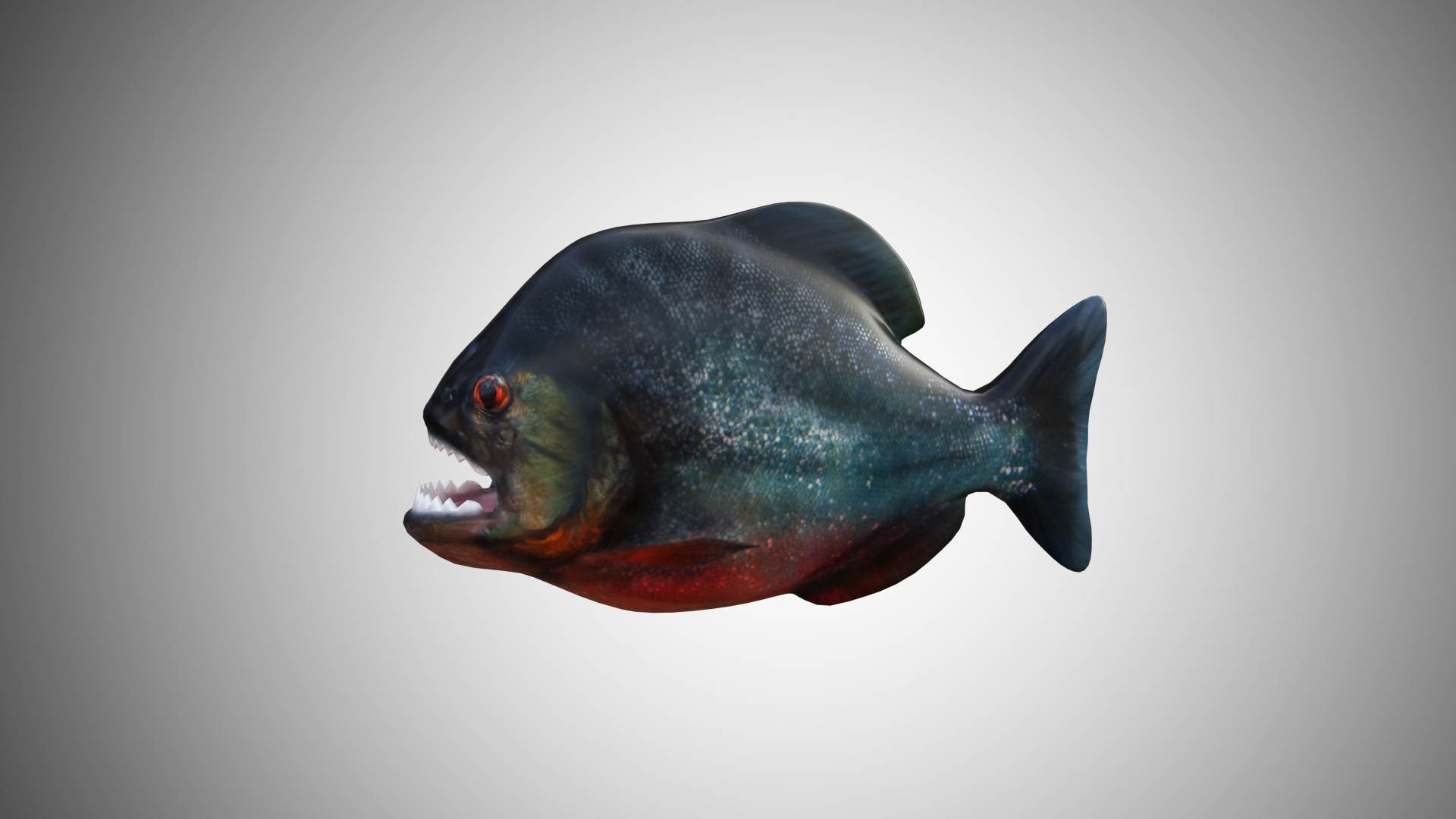 Piranha 3D Model Rigged and Low Poly Game ready