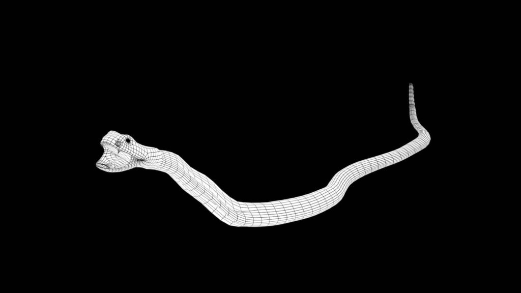 Rattle Snake 3D Model Game Ready - Team 3d Yard