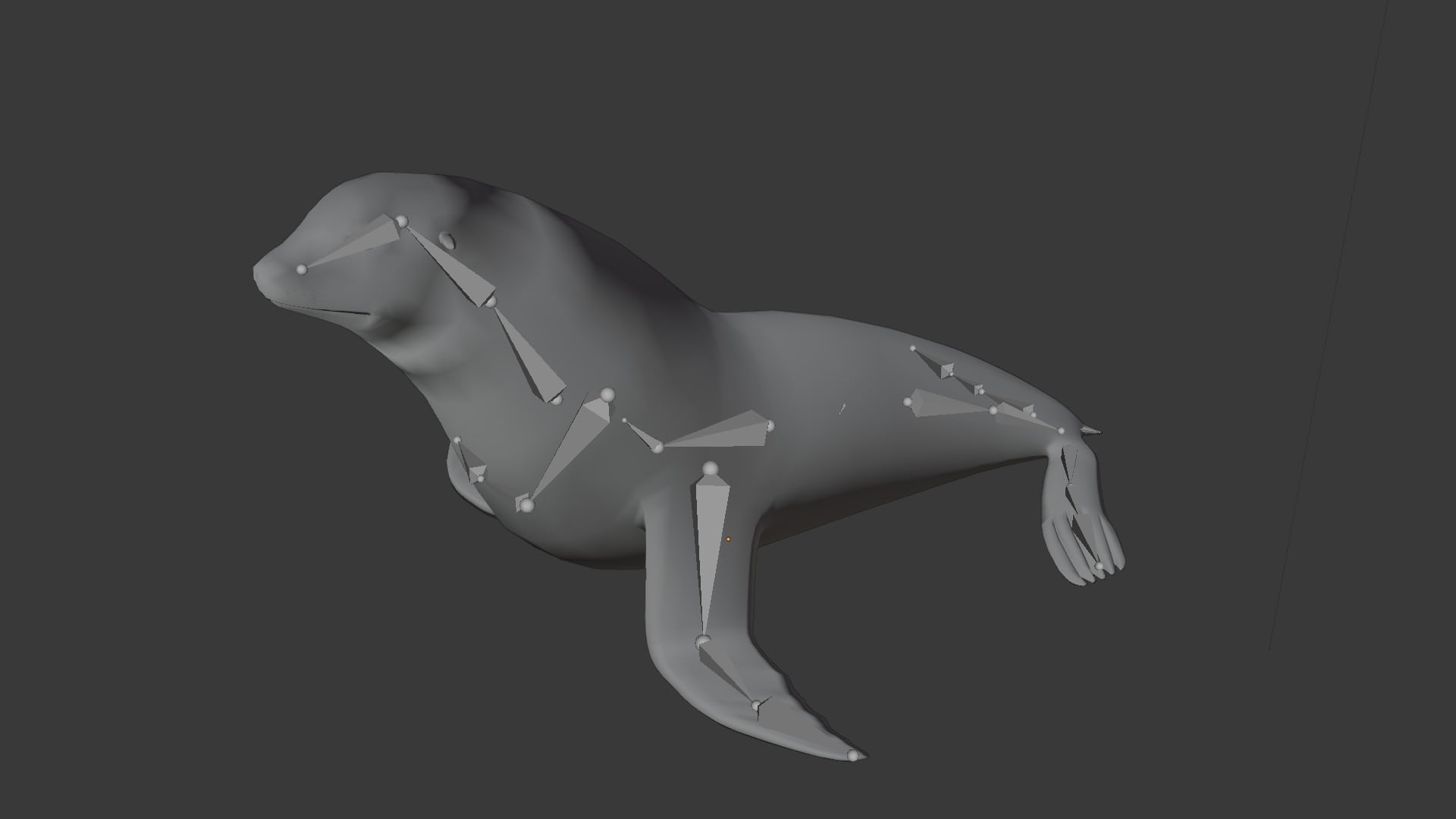 Seal 3D Model Rigged and Low Poly Game ready - Team 3d Yard