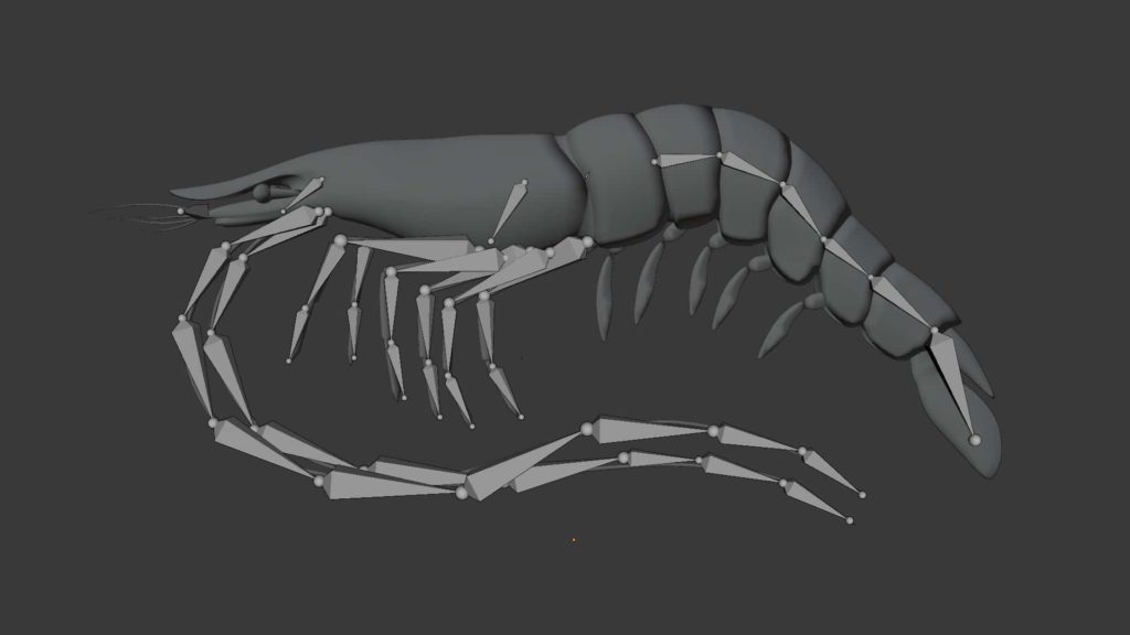 Shrimp 3D Model Rigged and Low Poly Game ready