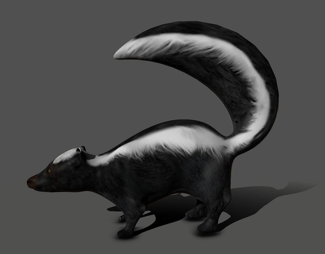 Skunk 3D Model Rigged Low Poly and Game ready - Team 3d Yard