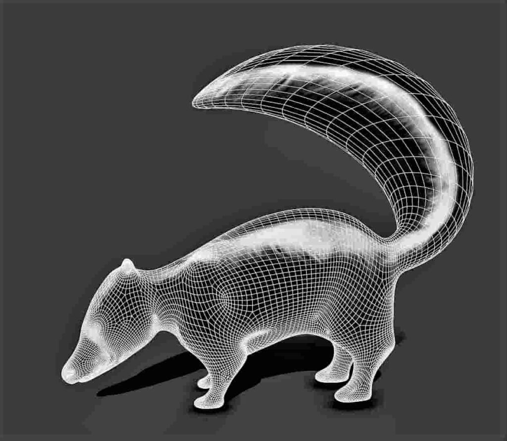 Skunk 3D Model Rigged Low Poly and Game ready - Team 3d Yard