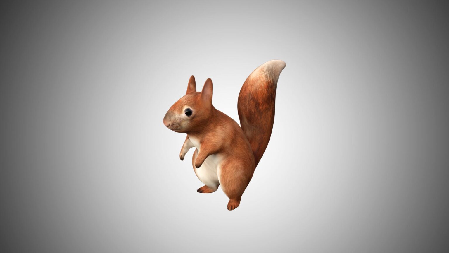 Squirrel 3D Model Rigged and Low Poly Game ready - Team 3d Yard