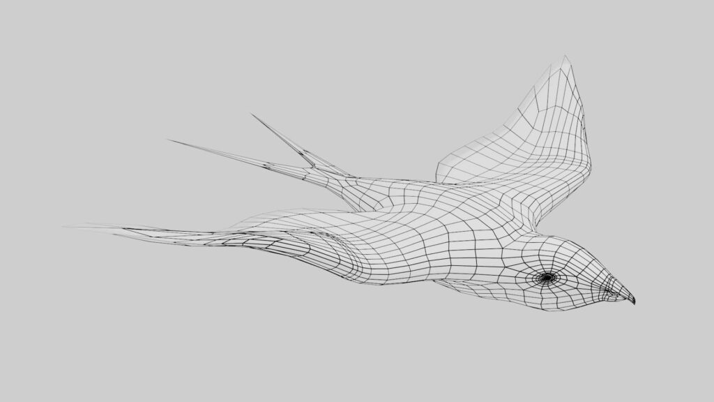 Swallow 3D Model Rigged and Low Poly Game ready - Team 3d Yard