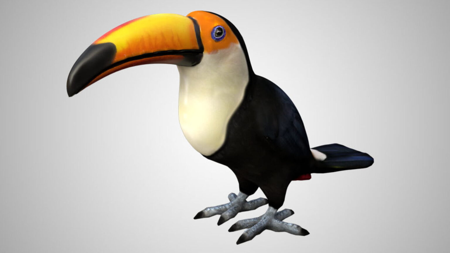 Toucan 3D Model Rigged and Low Poly Game ready - Team 3d Yard