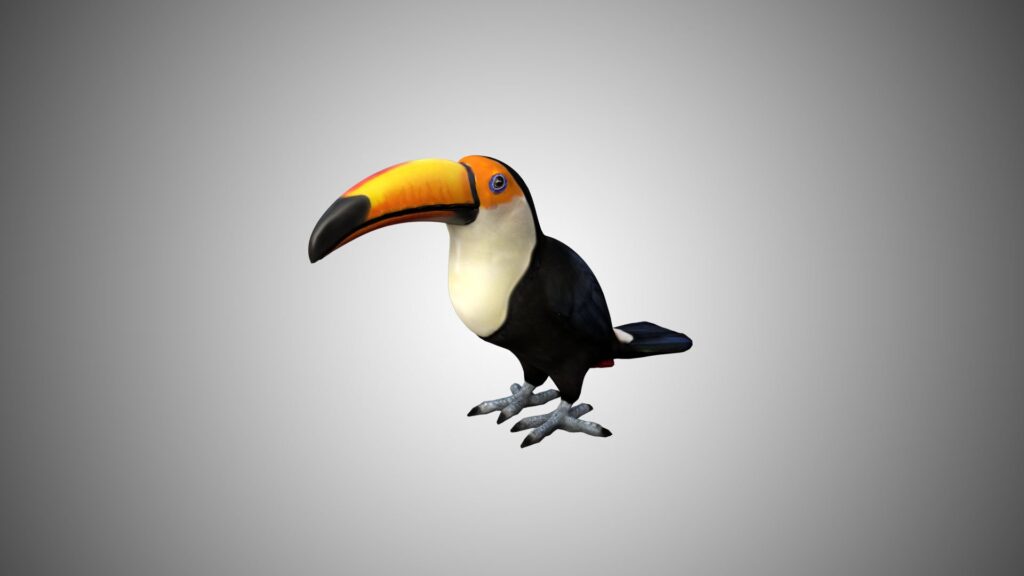Toucan 3D Model Rigged and Low Poly Game ready - Team 3d Yard