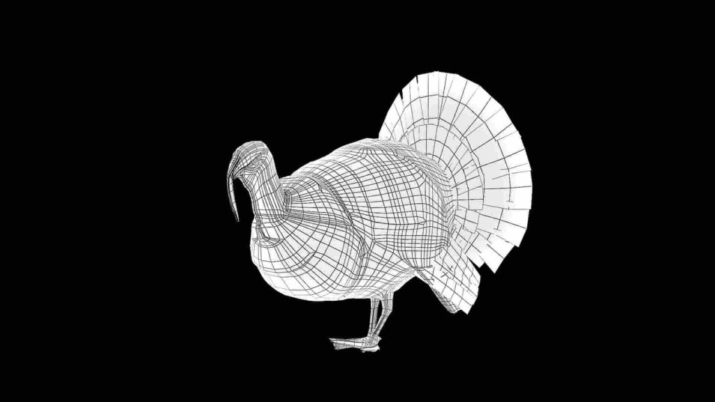 Turkey 3D Model Rigged and Low Poly Game ready - Team 3d Yard