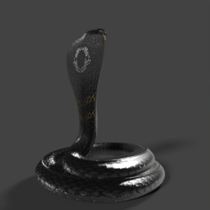 King Cobra 3D Model Rigged and Low Poly Game ready - Team 3d Yard