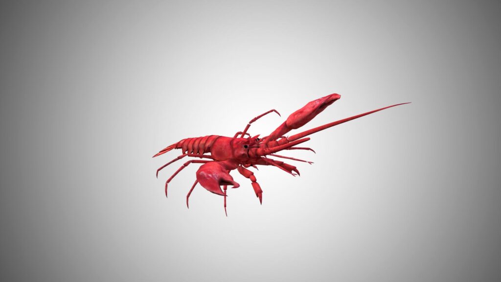 Lobster 3D Model Rigged and Low Poly Game ready