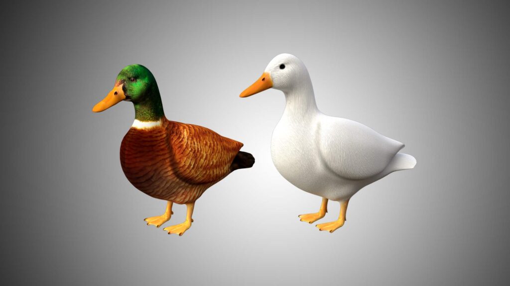Mallard Duck 3D Model Collection Rigged and Low Poly Game ready