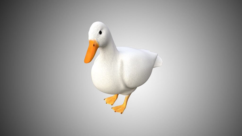 Mallard Duck 3D Model Collection Rigged and Low Poly Game ready
