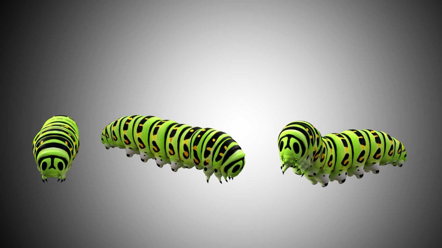 Caterpillar 3D Model Rigged and Low Poly Game ready - Team 3d Yard