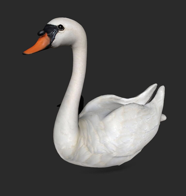 Swan 3D Model Rigged and Low Poly Game ready