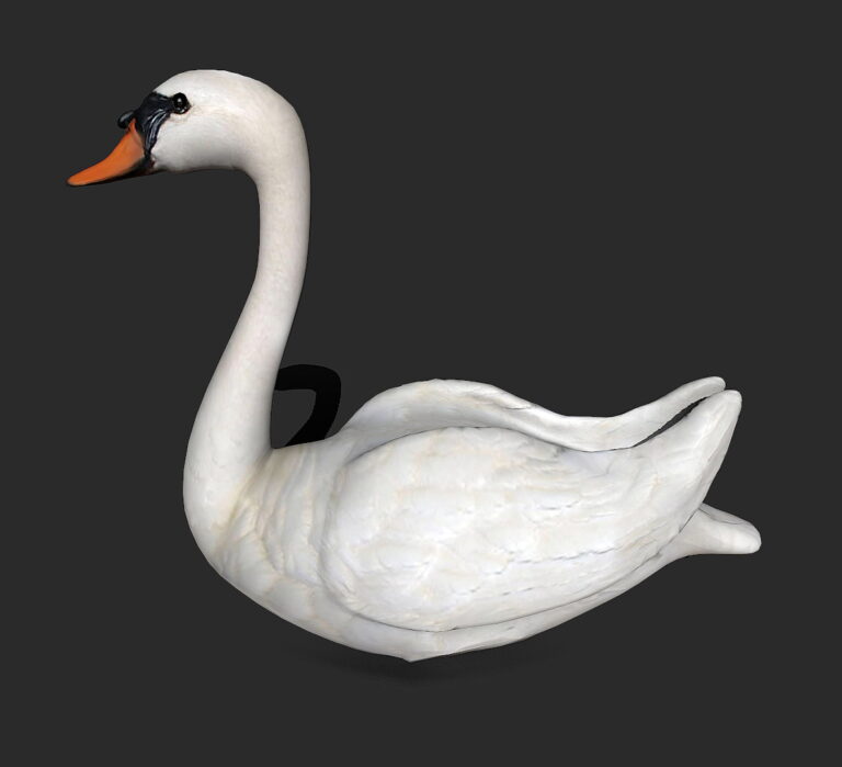 Swan 3D Model Rigged and Low Poly Game ready
