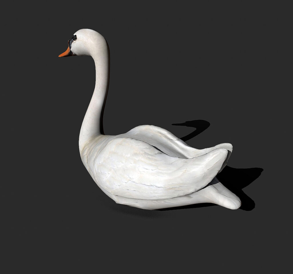 Swan 3D Model Rigged and Low Poly Game ready