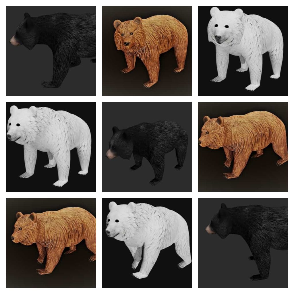 Bear Collection 3D Model Rigged and Low Poly - Team 3d Yard