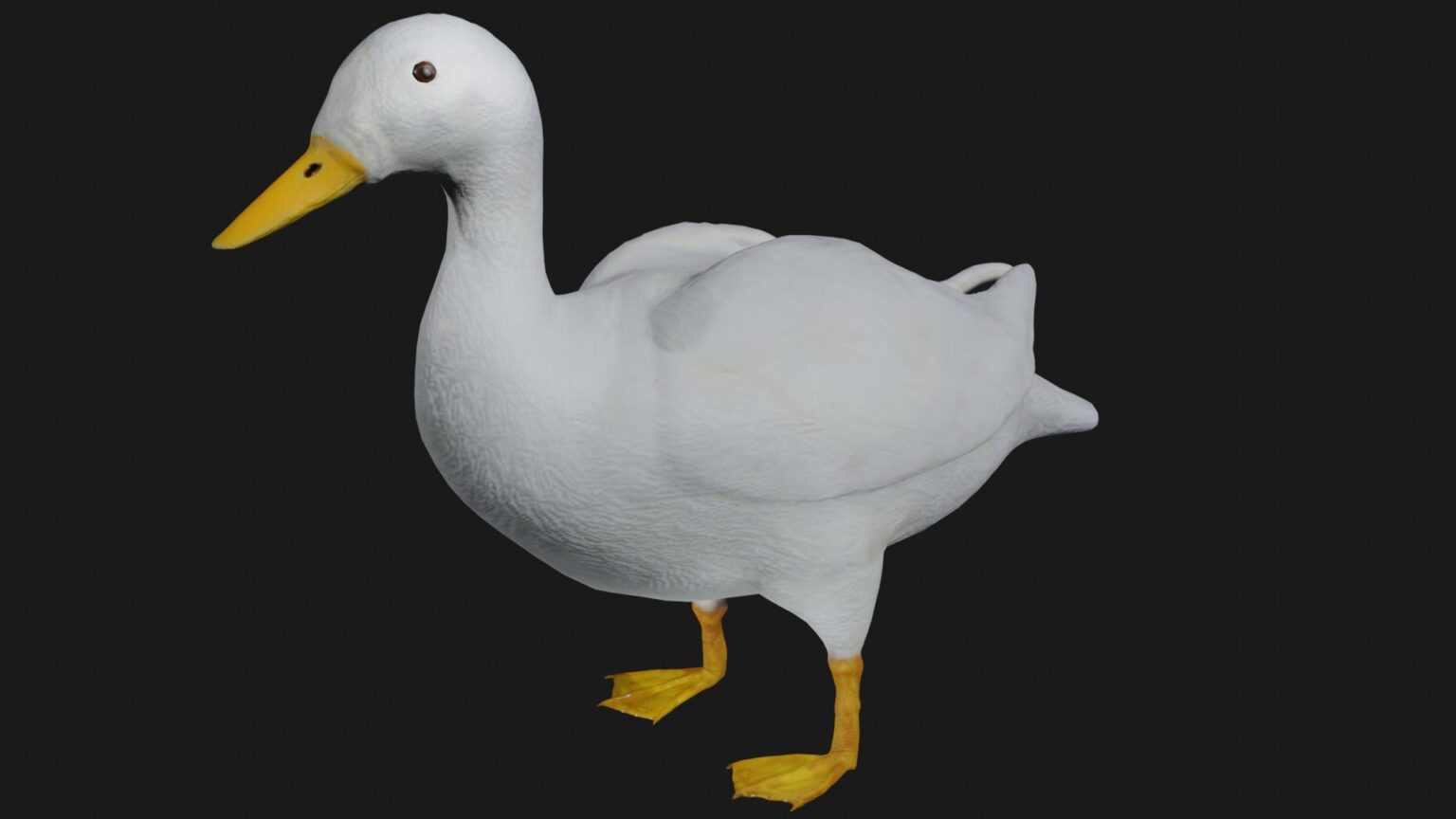 Duck 3D Model Rigged and Low Poly Game ready