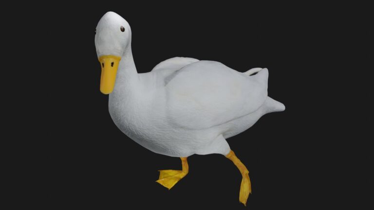 Duck 3D Model Rigged and Low Poly Game ready