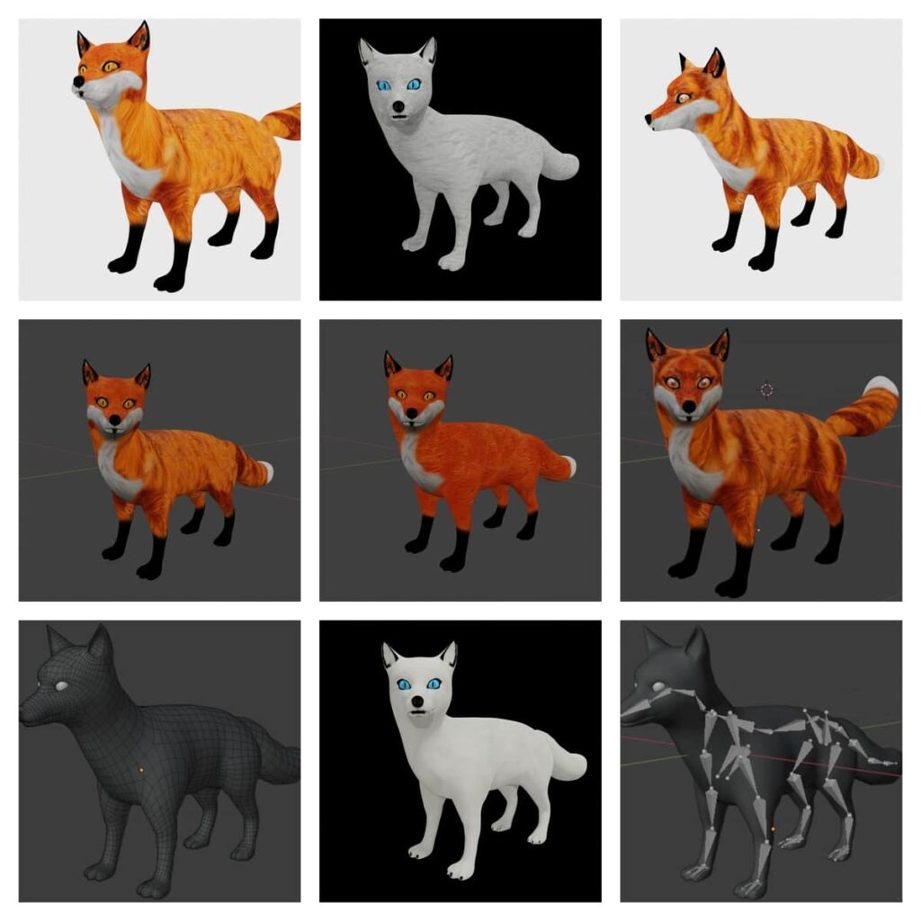 Fox Collection 3D Model Rigged and Low Poly - Team 3d Yard