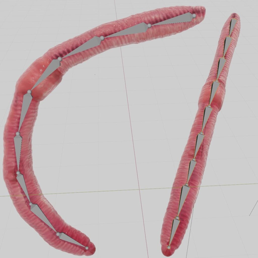 Worms 3D Model Rigged and Low Poly - Team 3d Yard