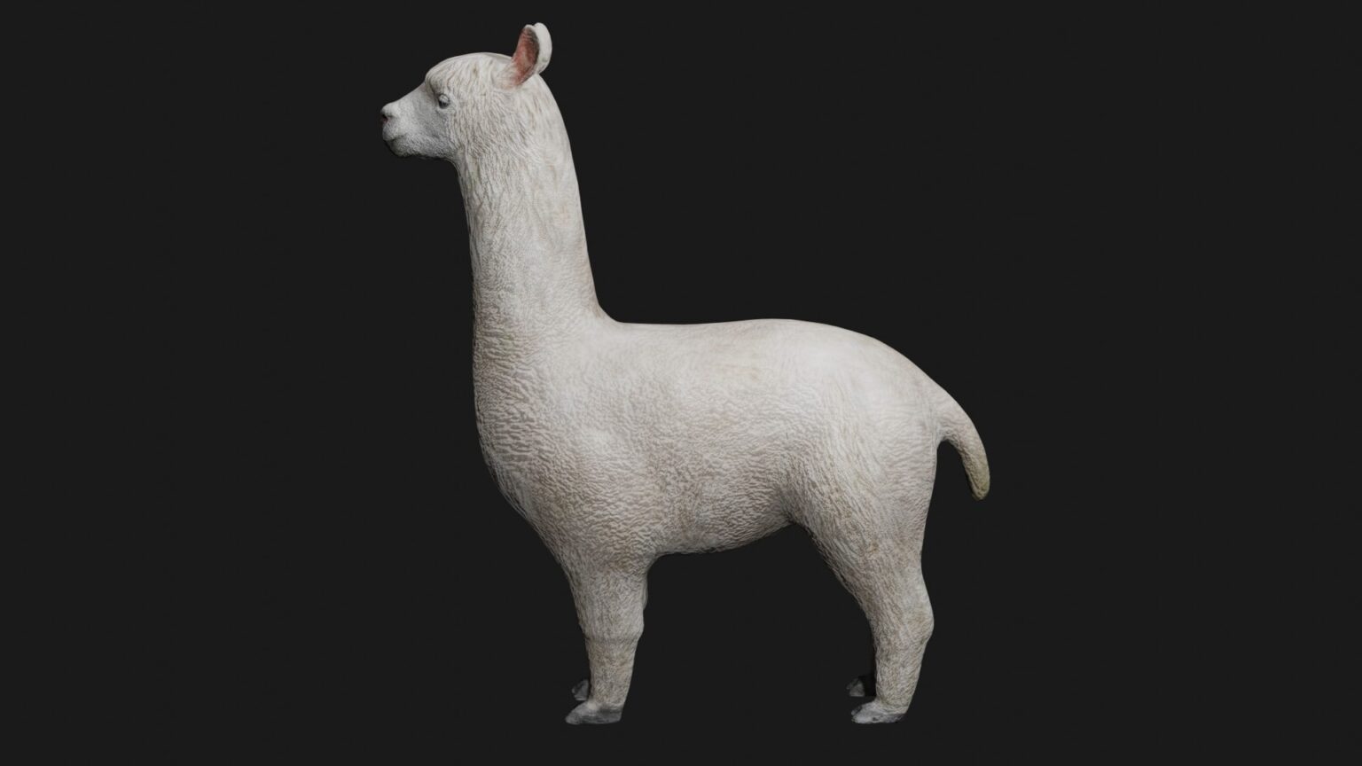 Alpaca 3D Model Rigged and Low Poly Game ready
