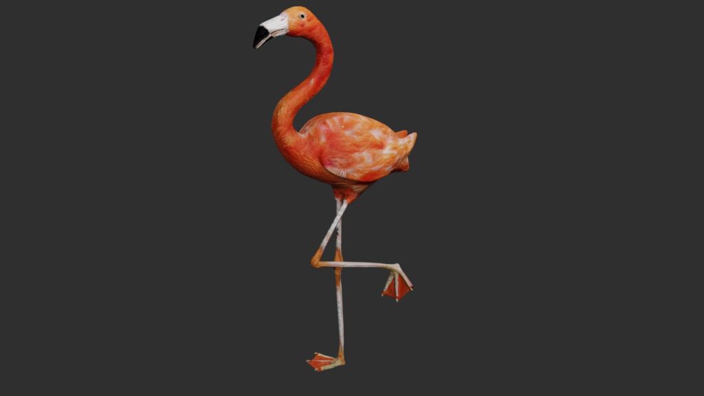 Flamingo 3D Model Rigged and Low Poly Game ready