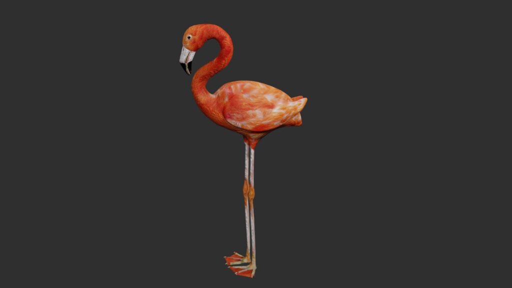 Flamingo 3D Model Rigged and Low Poly Game ready